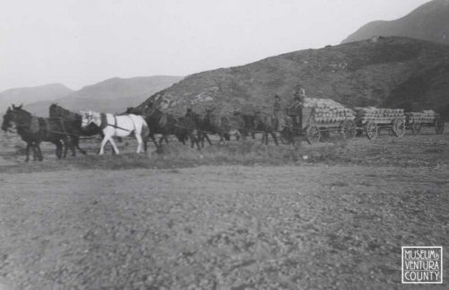 Making the Grade - Museum of Ventura County