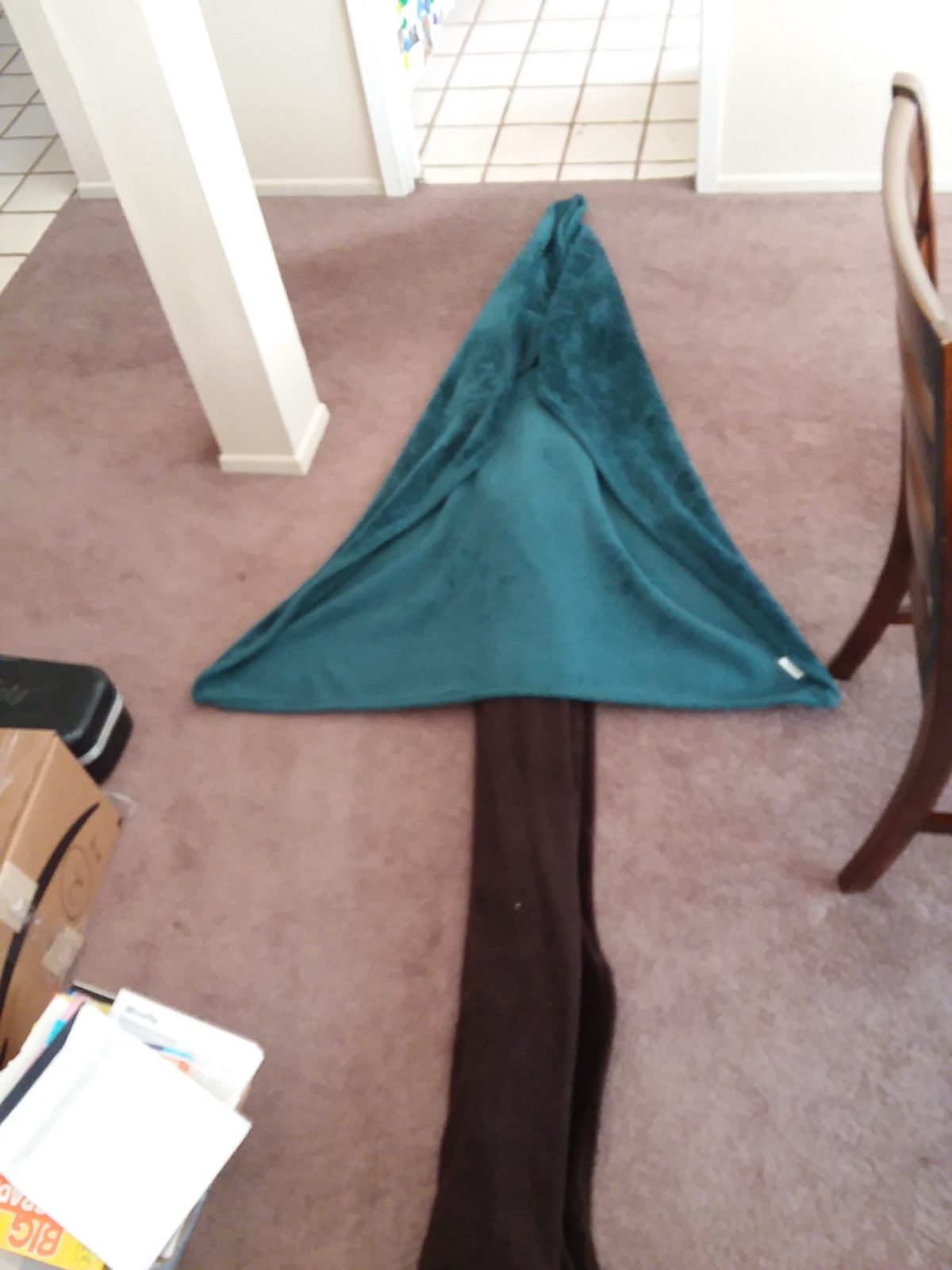 VLM #4: Throwing Shade — Celebrating Trees During Earth Week in Ventura ...