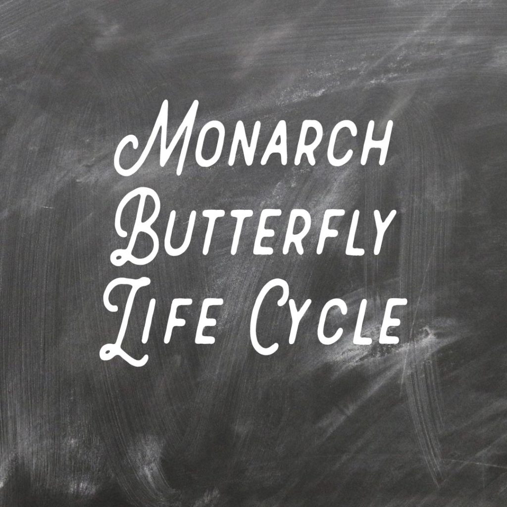 Lesson Plans Archives - Museum of Ventura County