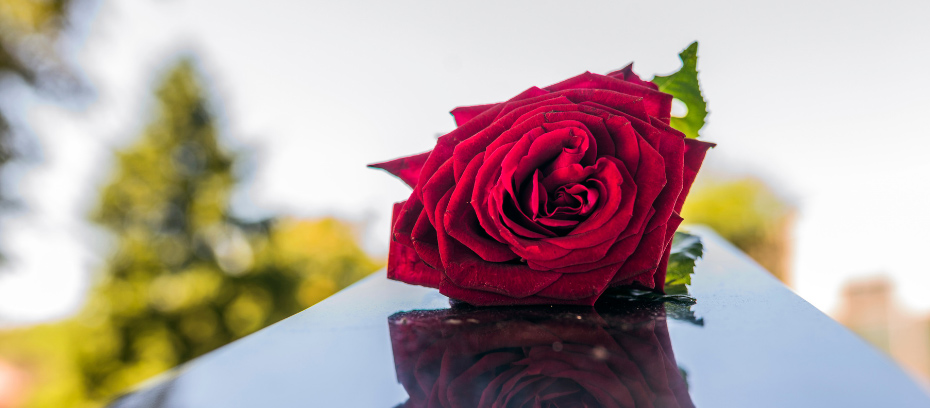 Tribute Donations - Museum of Ventura County