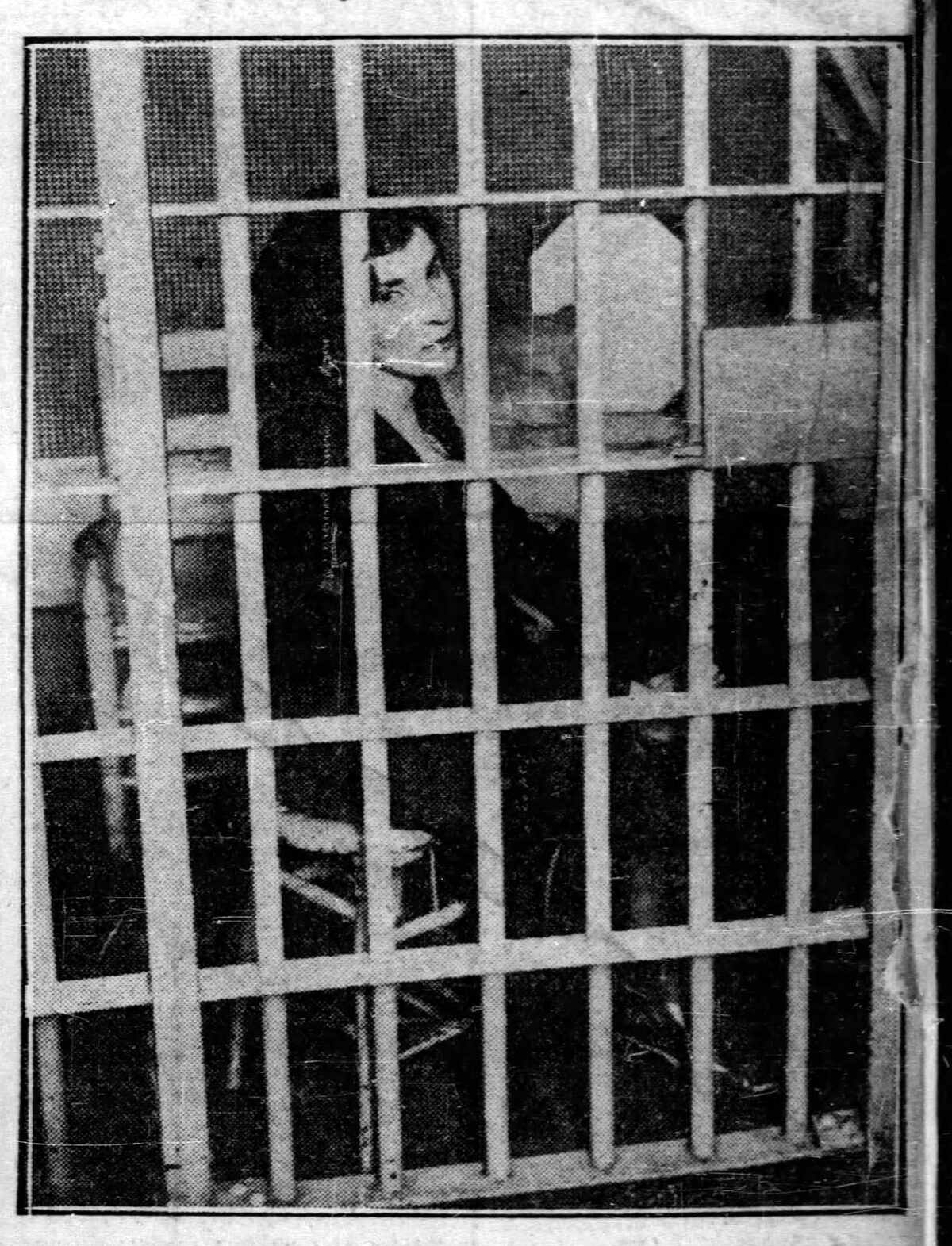 “The Woman Lawyer” - Museum of Ventura County